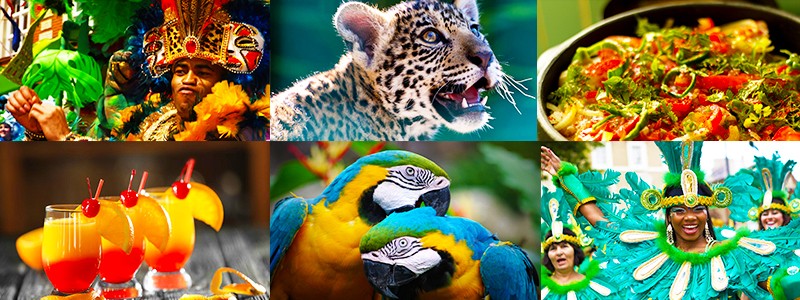 Summer Fundraiser Success | Hertfordshire Zoo