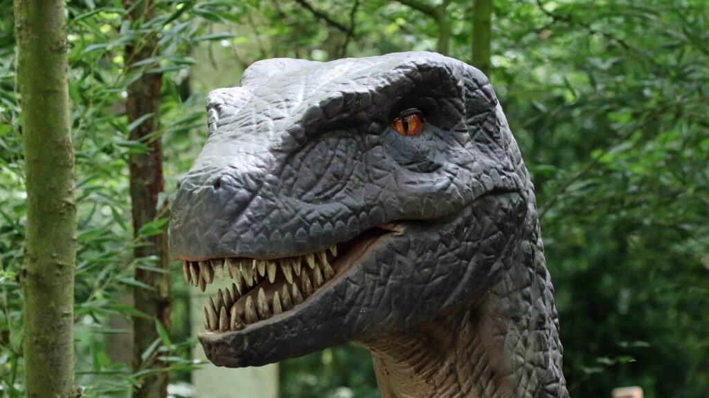 Velociraptor | Hertfordshire Zoo