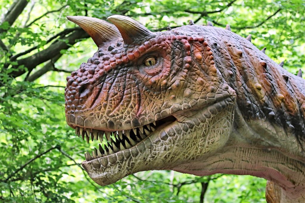 Carnotaurus | Hertfordshire Zoo