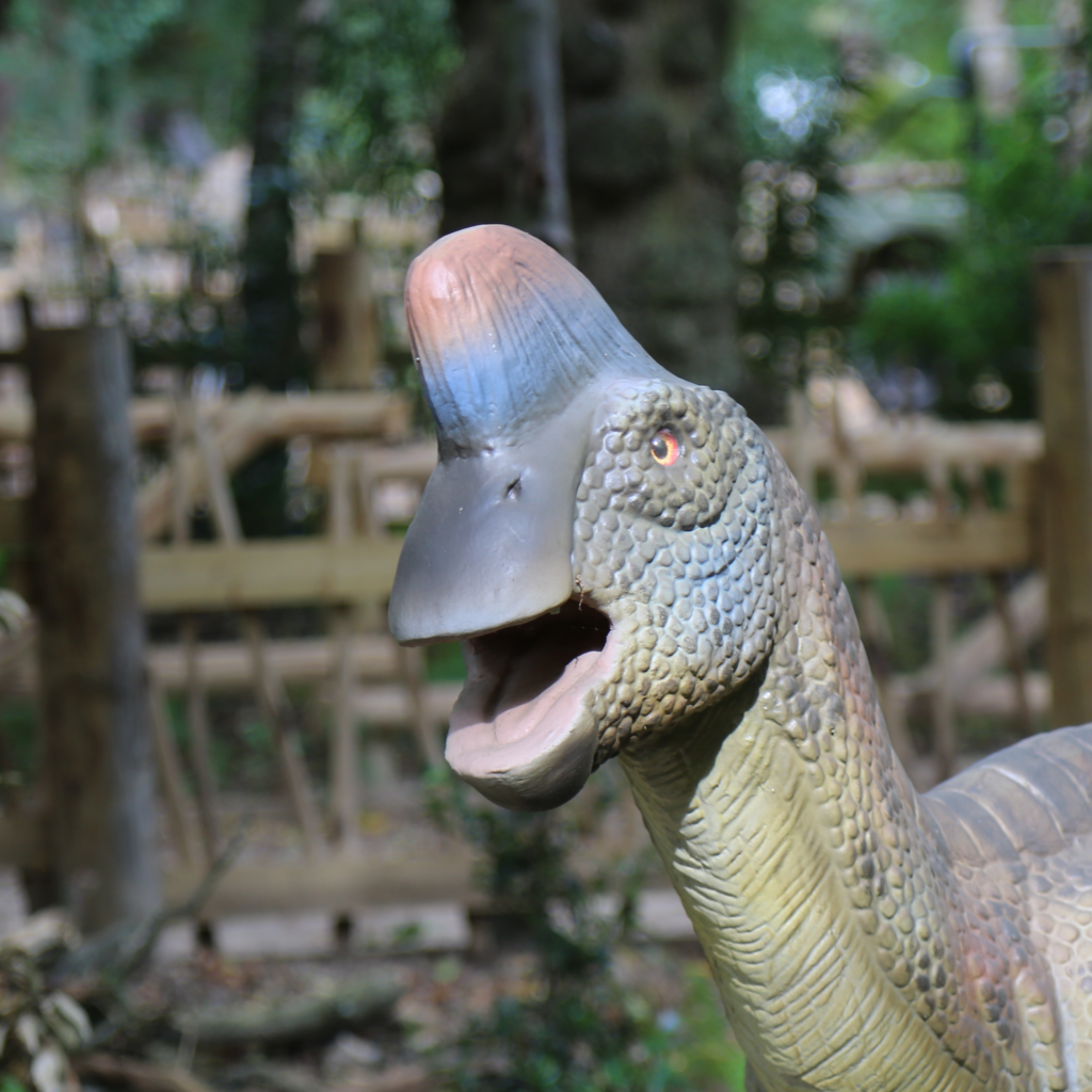 Oviraptor | Hertfordshire Zoo