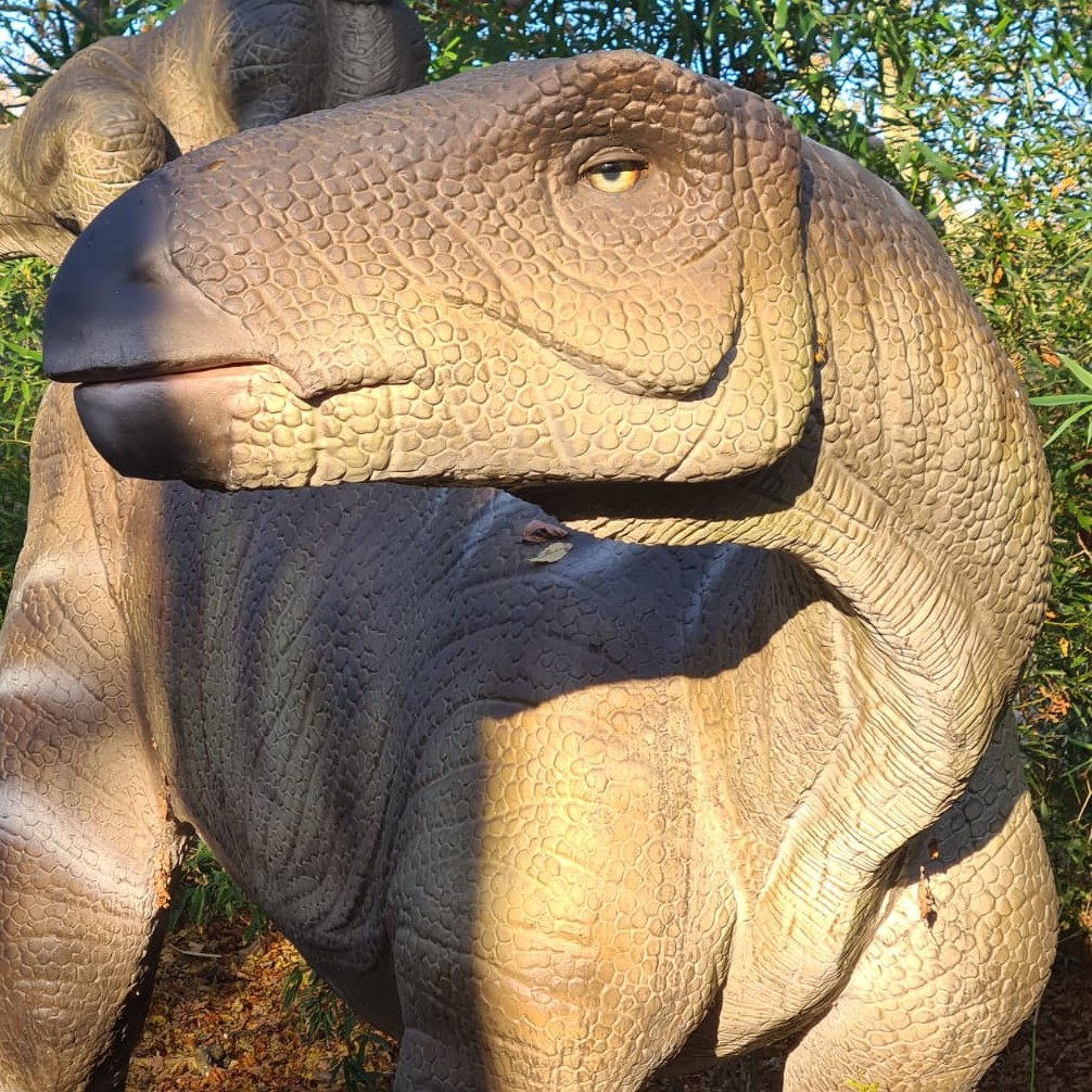Iguanodon | Hertfordshire Zoo