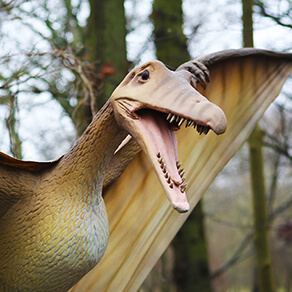 Pteranodon | Hertfordshire Zoo