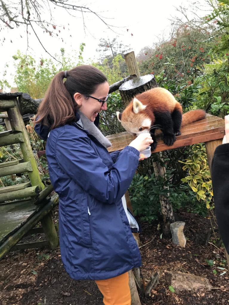 An Interview with Red Panda Expert: Alana Kardon | Hertfordshire Zoo