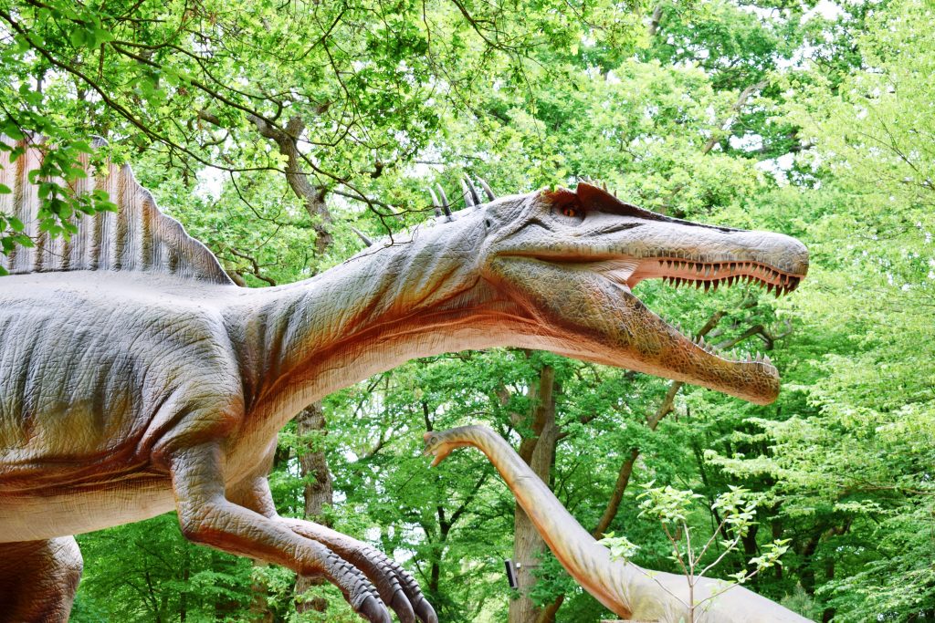 Spinosaurus | Hertfordshire Zoo