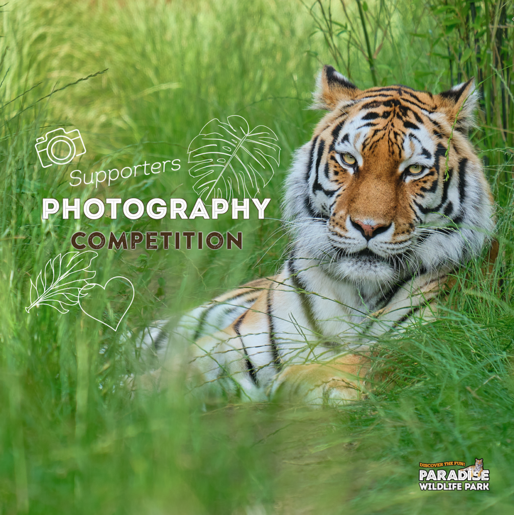 Supporters Photography Competition 2021 | Hertfordshire Zoo