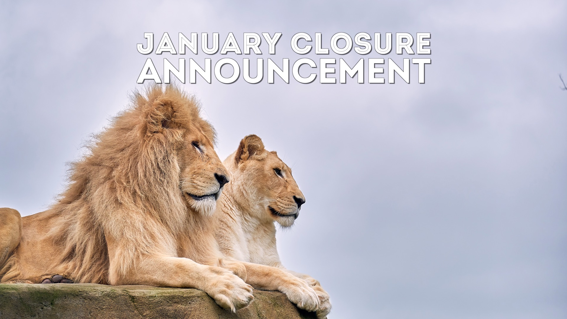 January Closure | Hertfordshire Zoo