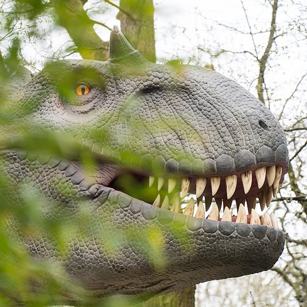 Indominus Rex | Hertfordshire Zoo