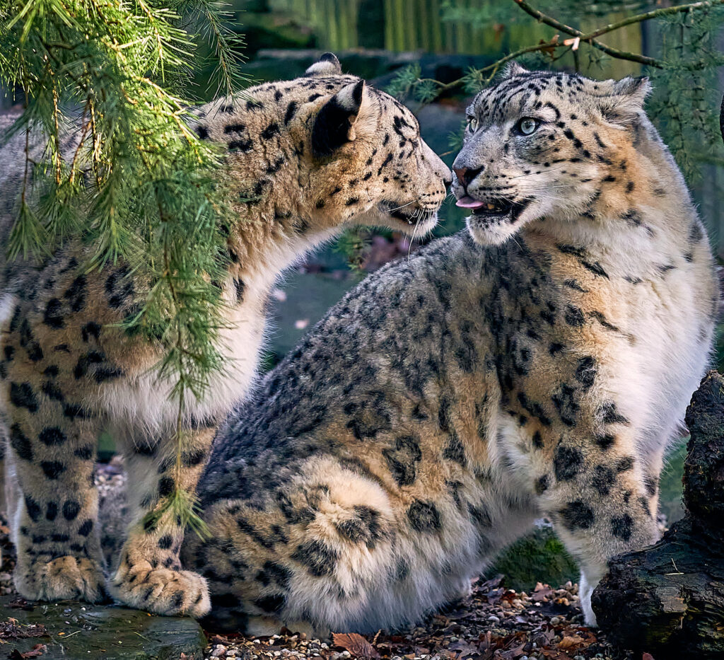 Photography Competition 2022 | Hertfordshire Zoo