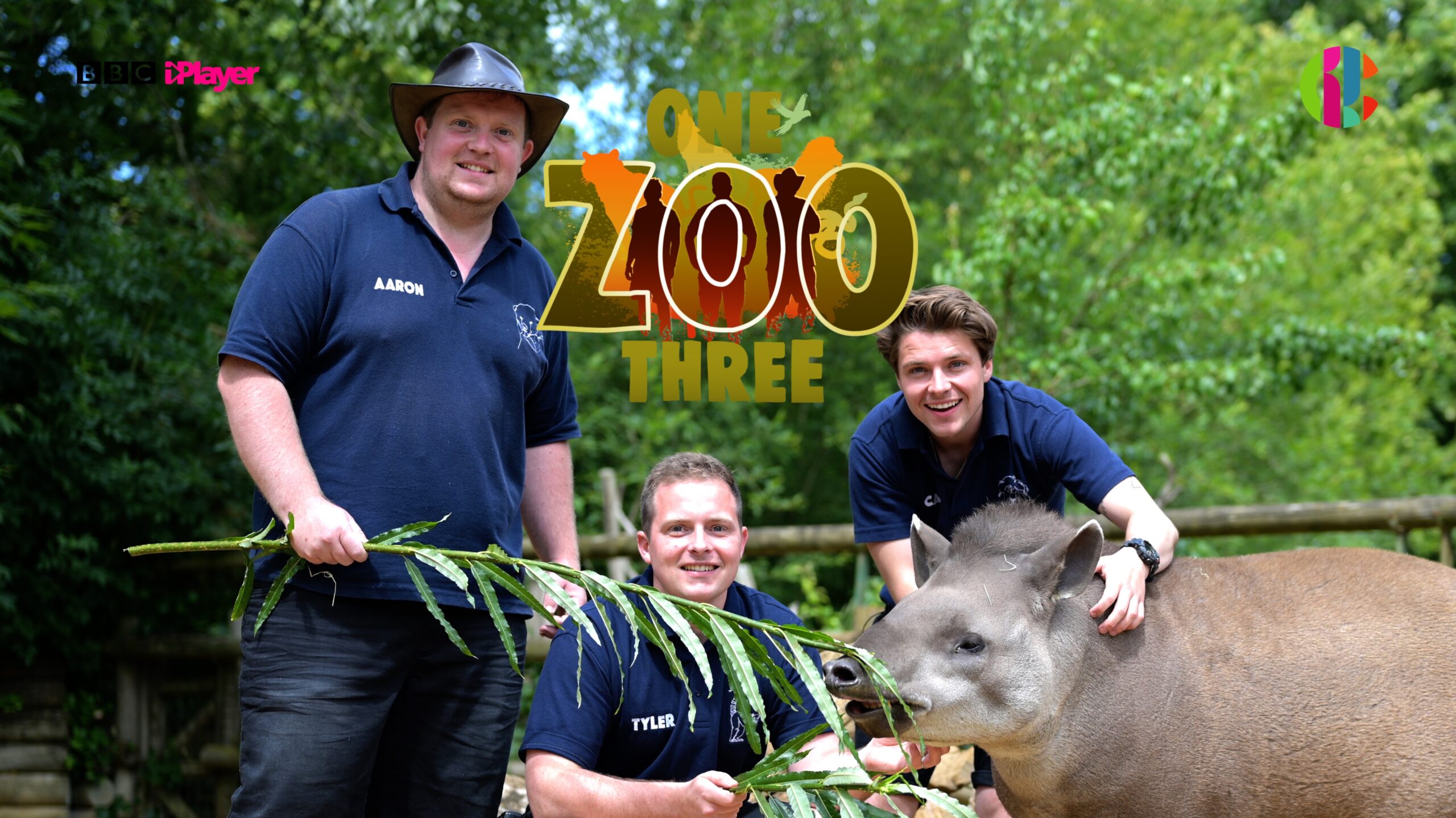 One Zoo Three is HERE! | Hertfordshire Zoo