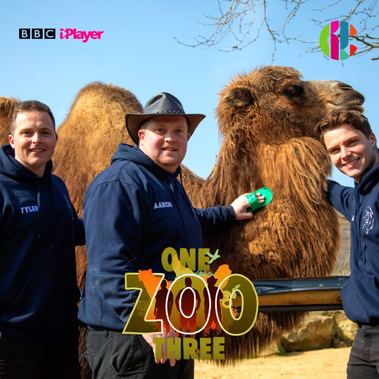 One Zoo Three is HERE! | Hertfordshire Zoo