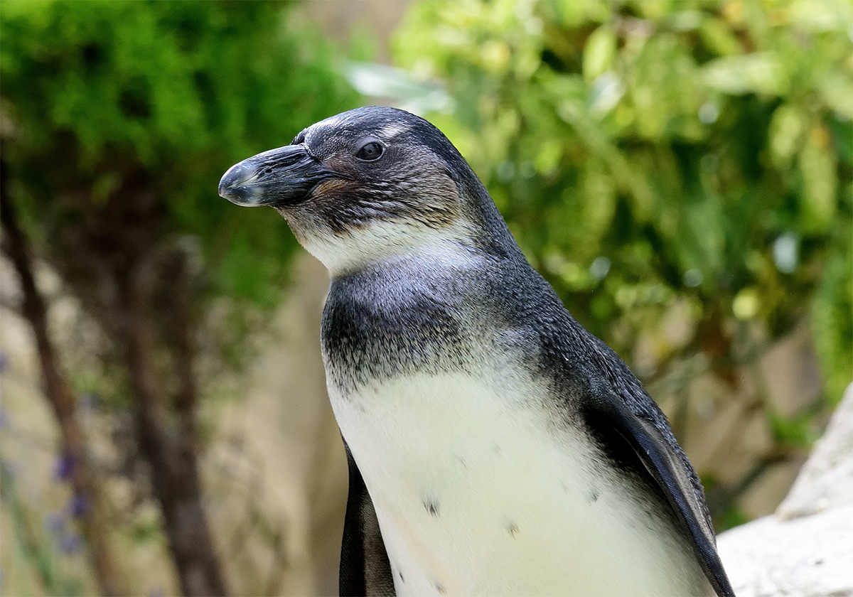 Photography competition 2022 winners | Hertfordshire Zoo