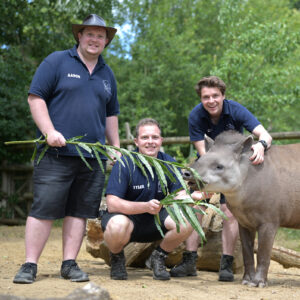 Meet the brothers from One Zoo Three | Hertfordshire Zoo