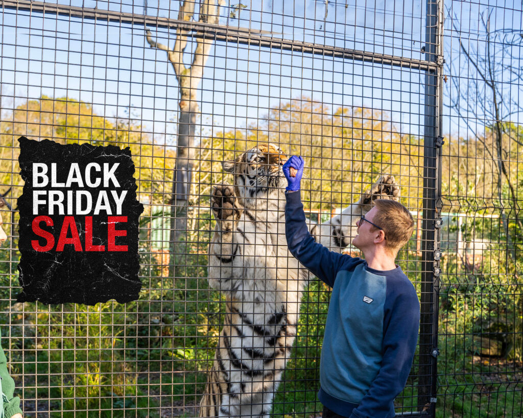 Black Friday sales are here! | Hertfordshire Zoo
