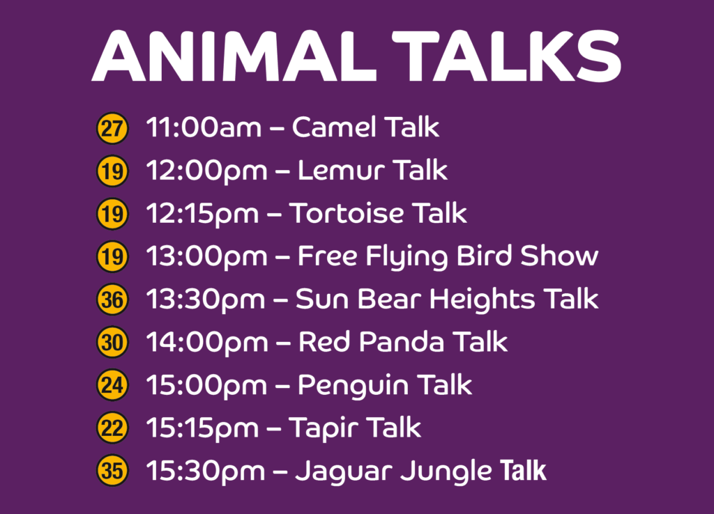 Feeds & Talks | Hertfordshire Zoo