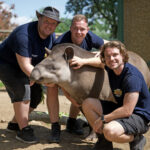 TV Series One Zoo Three is Back! | Hertfordshire Zoo