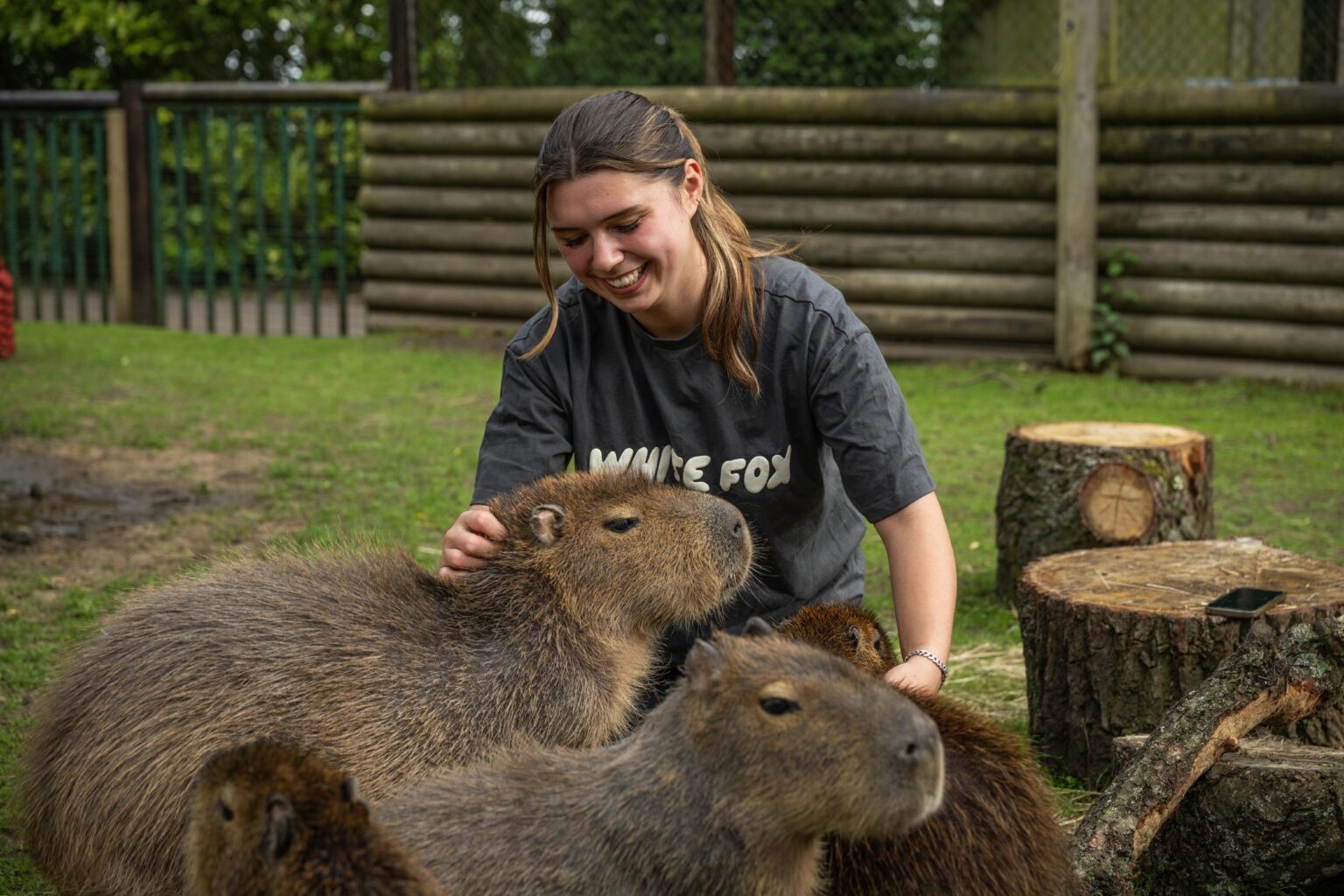 Meet the Capybaras at Hertfordshire Zoo! | Hertfordshire Zoo