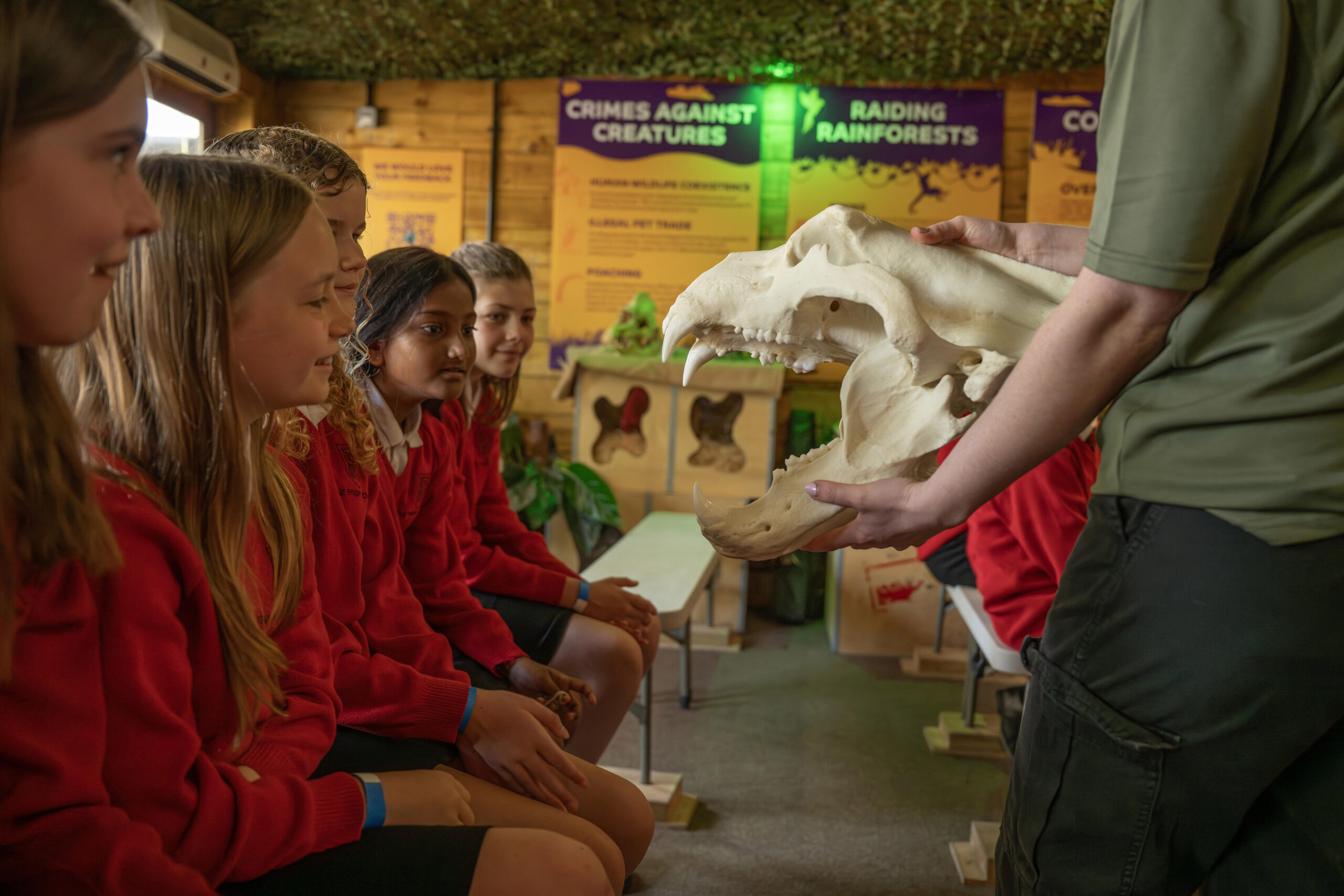 Educational Zoo Trips For Schools at Hertfordshire Zoo